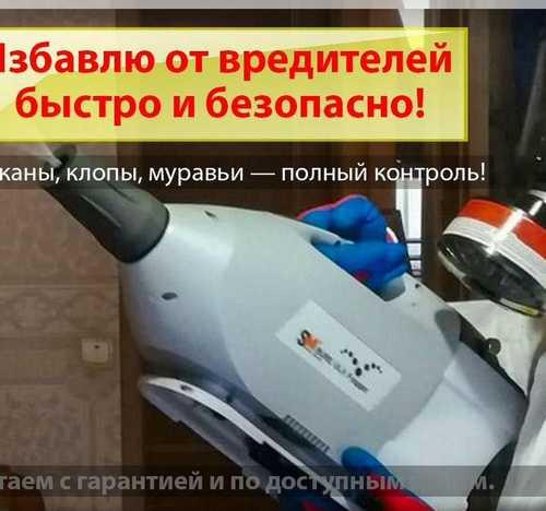 Уничтожение клопов тараканов грызунов