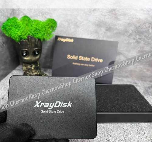 Ssd диск 512gb XrayDisk