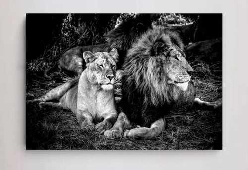 Картина лев и львица