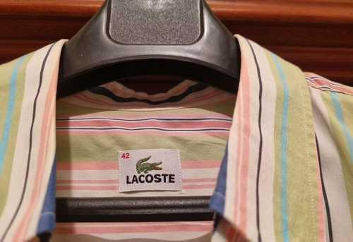 Рубашка мужская Lacoste оригинал