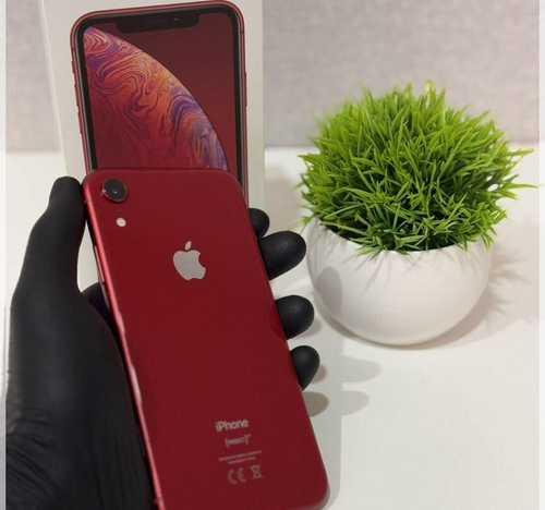 iPhone Xr, 64 ГБ