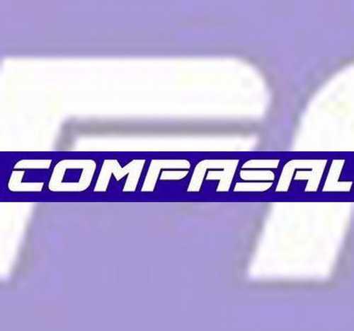 Compasal GAZILL 185/75 R16 104R