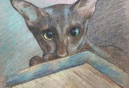 Рисунок кошечки на крафтовой плотной бумаге