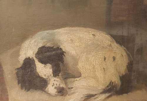 Советская картина. Спящий пес. Кибардин Г.В