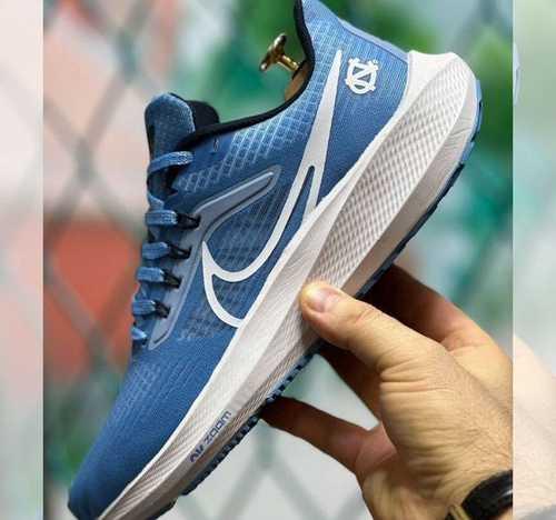 Nike air zoom pegasus (45)