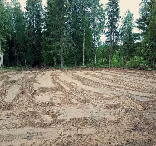 Земля чернозем, плодородный грунтЧернозем без корней, травы, комков, глины, камней. Идеально для сад