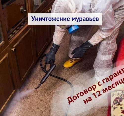 Уничтожение клопов тараканов грибка плесени
