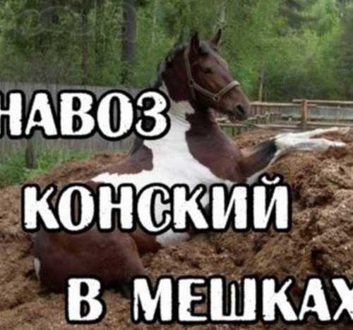 Навоз конский в мешках с доставкой Синявино