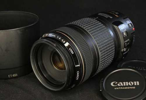 Canon EF 70-300mm 4.0-5.6 IS USM