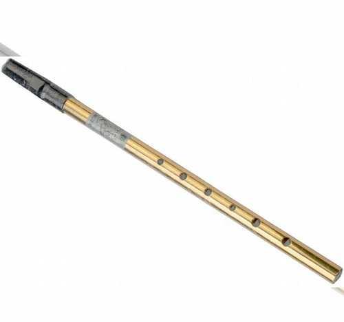 Naomi Brass D Gold Тин вистл