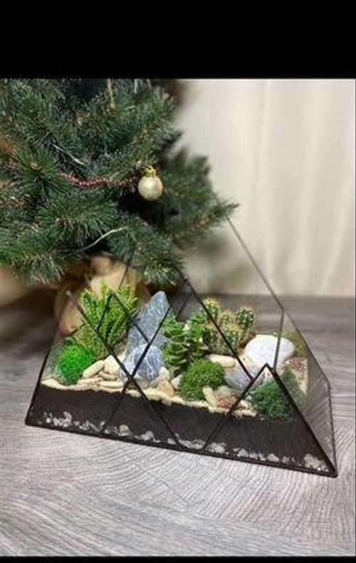 Флорариум горы