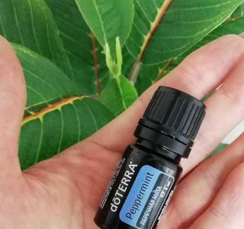 Doterra перечная мята эфирное масло