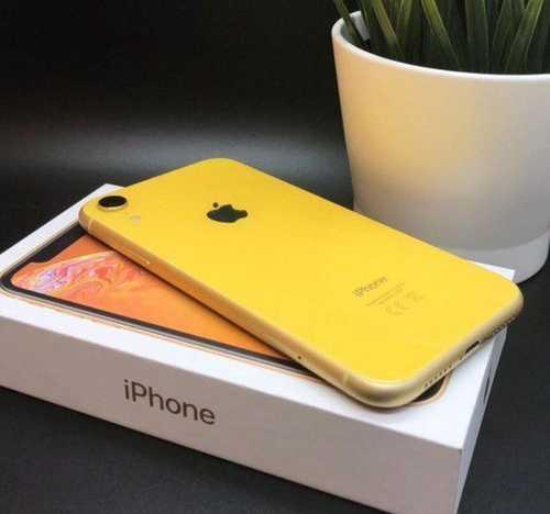 iPhone Xr, 128 ГБ