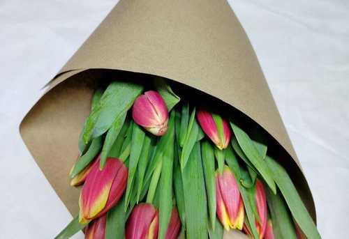 Срезка тюльпана на 8 марта