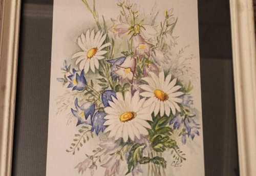 Картина акварель В. Сергеев " Полевые цветы "