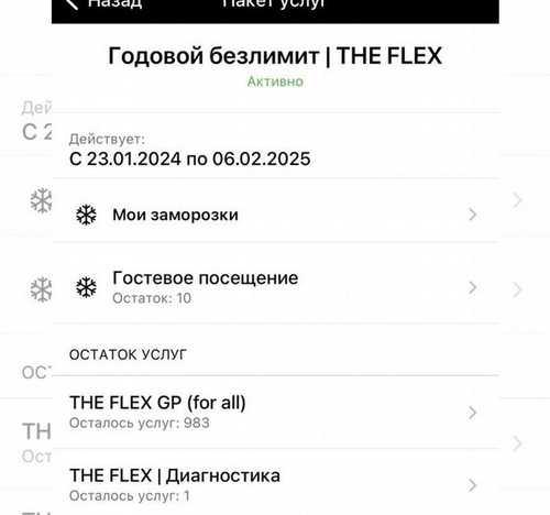 Абонемент THE flex