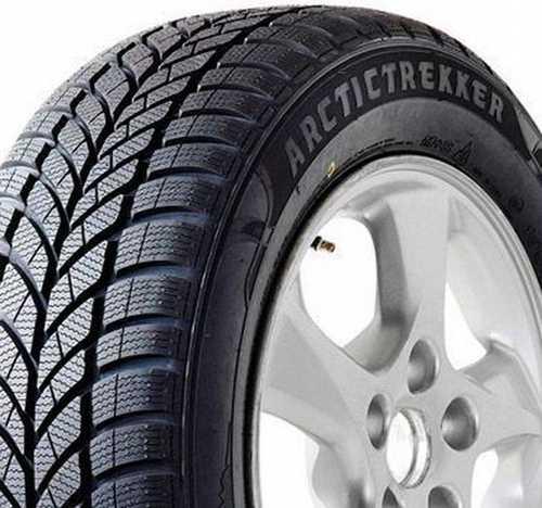 Maxxis WP-05 ArcticTrekker 175/55 R15 77T