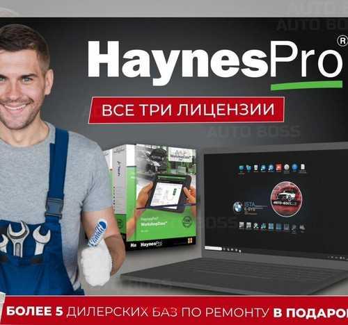 Электросхемы HaynesPro online   autodata v2024