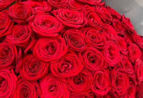 Доставка цветов Букет 101 роза 51 роза 31 25