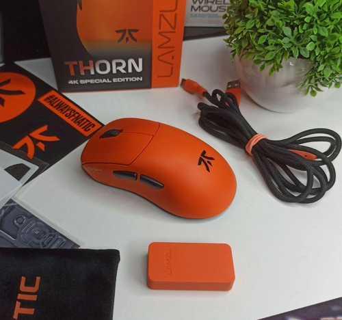 Игровая мышь Lamzu thorn fnatic 4k