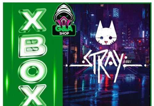 Stray xbox
