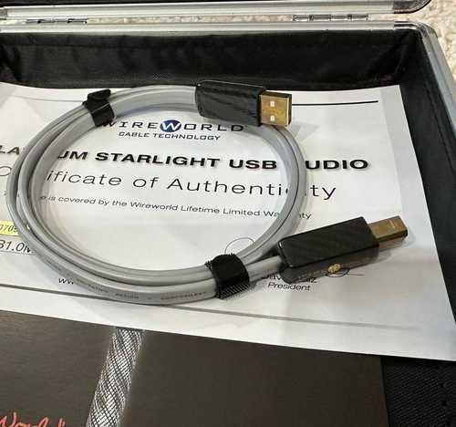 Кабель Wireworld Platinum Starlight 8 USB 2.0 Audi