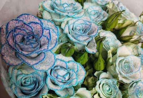 Голубые розы кустовые