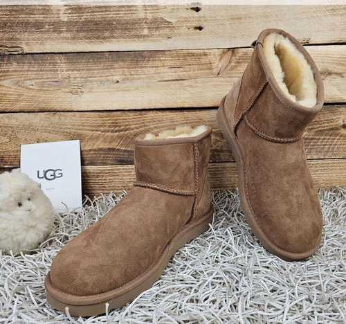 Угги Ugg Classic Mini II Chestnut мужские оригинал