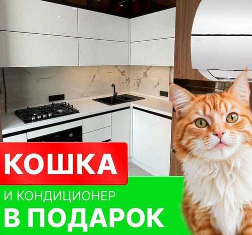 Кухня на заказ в рассрочку / Кошка в подарок