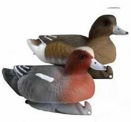 Чучело утка свиязь