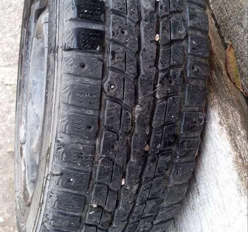 Dunlop DV-01 15/65 R15 25