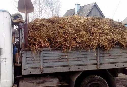 Чернозем, навоз, перегной, песок, щебень