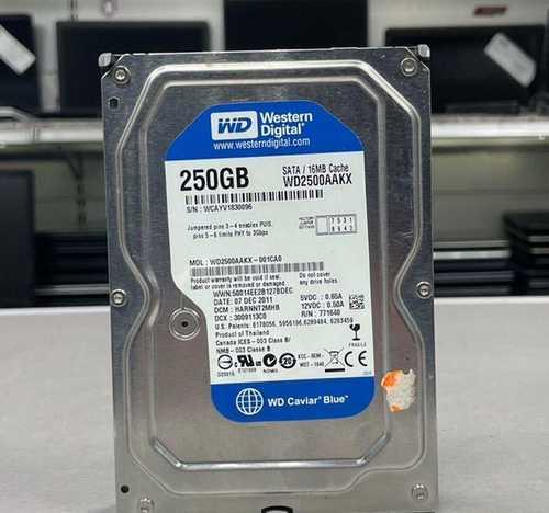 WD Caviar Blue, 250Gb, HDD, SATA III, 3.5"