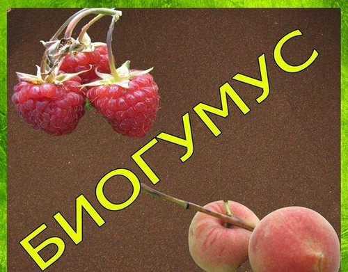 Биогумус (вермикомпост)