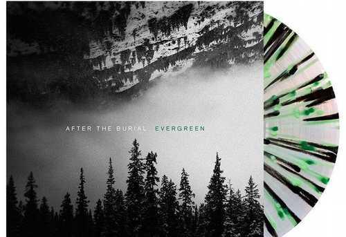 After The Burial – Evergreen винил цветной