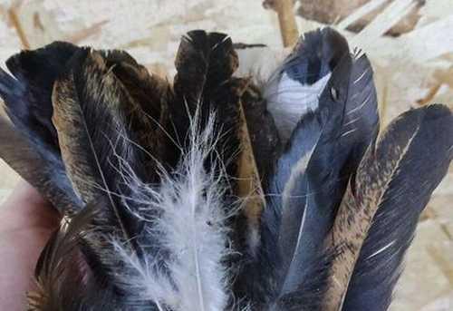 Куриные перья для рукоделия
