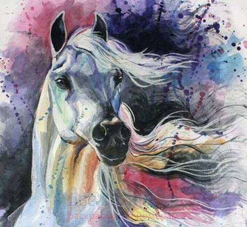 Алмазная мозаика 40x50 Белый конь на разноцветном