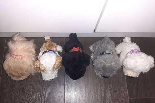 The dog collection