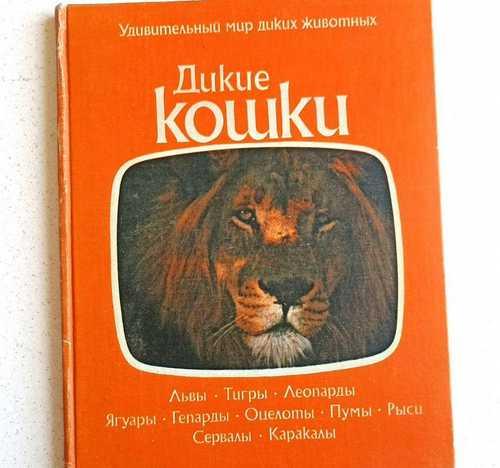 Книга Дикие кошки