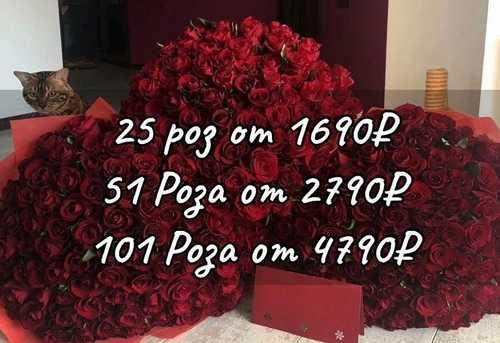 101 роза цветы
