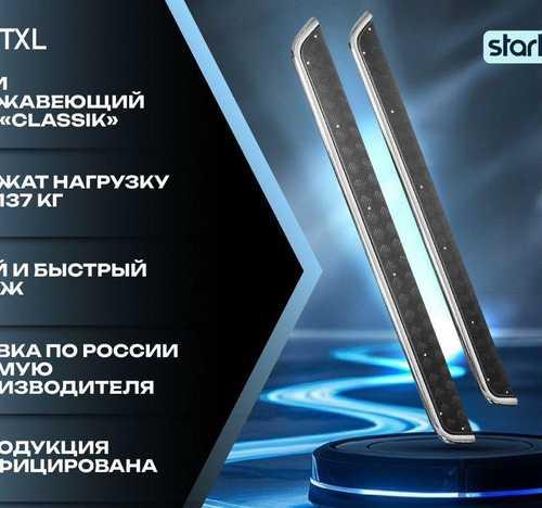 Пороги подножки Exeed TXL Classik