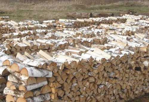Березовые дрова доставка день в день