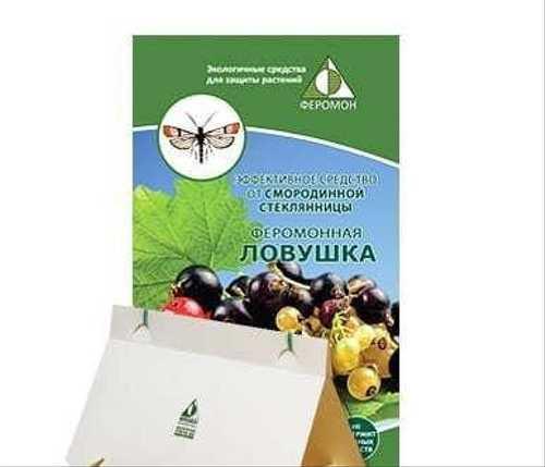 Феромонная ловушка для cмородинной стеклянницы