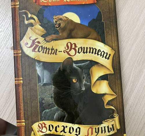 Коты воители восход луны