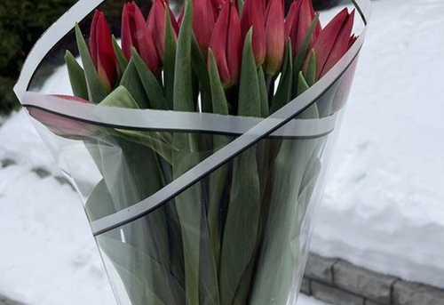 Тюльпаны 5-8 марта разные цвета