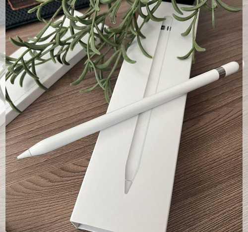 Apple pencil 1