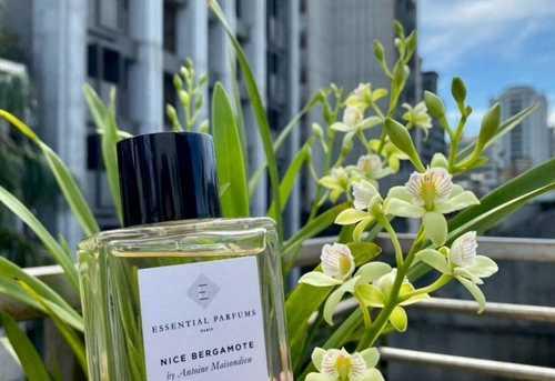 Essential parfums paris nice bergamote оригинал де