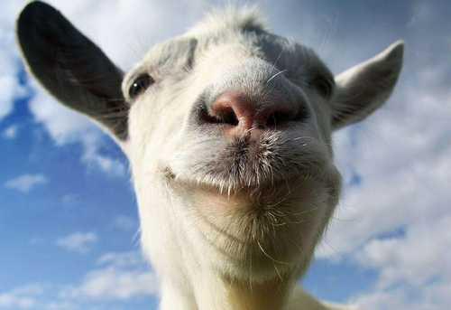 Goat Simulator на PS4 PS5