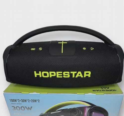 Hopestar A65, колонка 300W