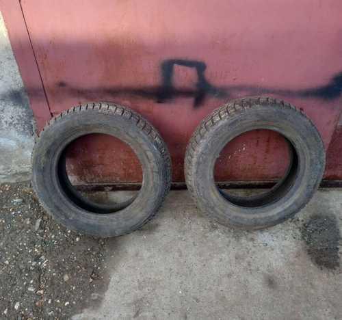 Tigar Sigura Stud 175/65 R14